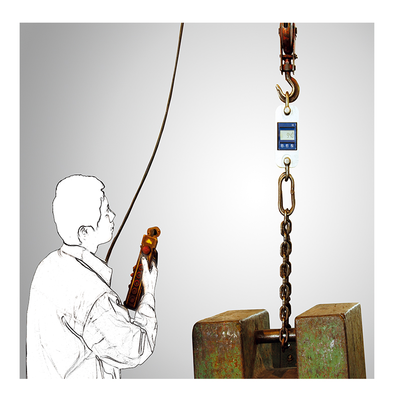 ID1000 Digital Load Indicators, lifting scale, material handling ...